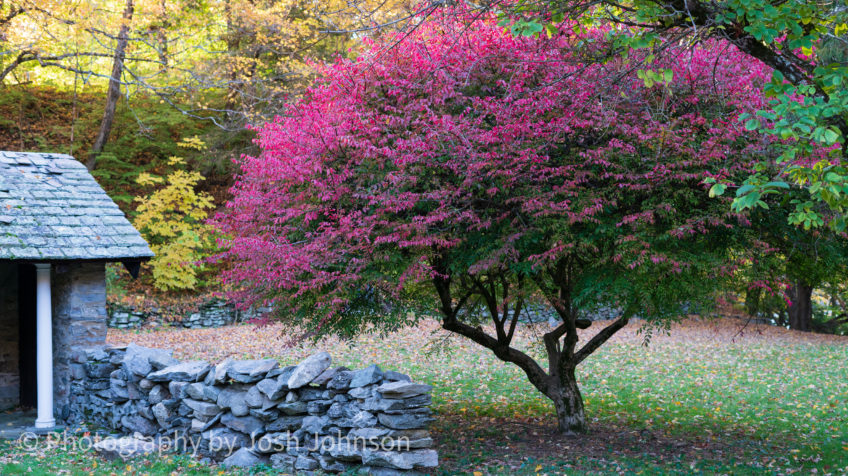 French King Bridge Fall 2020 – Photography by Josh Johnson